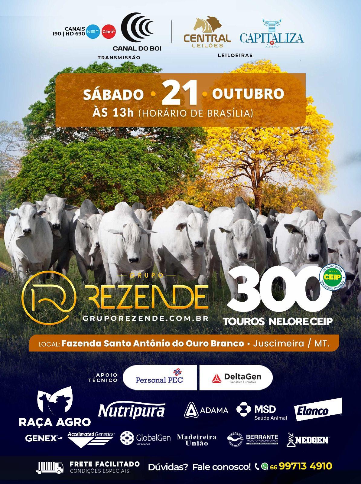 Grupo Rezende realiza leilão de Touros Nelore CEIP - Mato Grosso no Ar